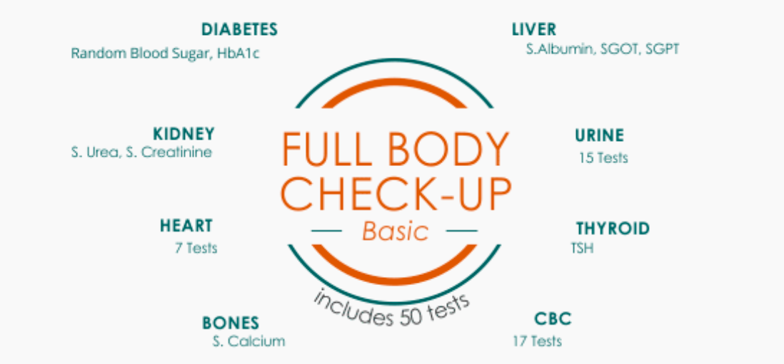 KV Labs | Full Body Check Up - Basic